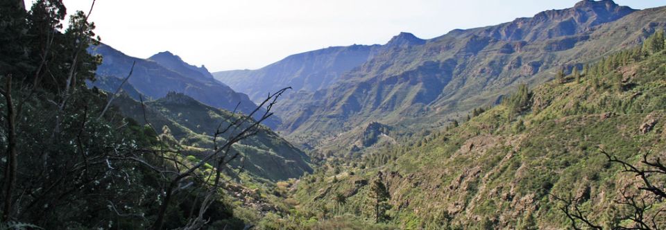 Reserva Natural Integral de Benchijigua: Información útil y fotos