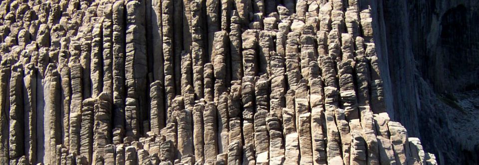 Los órganos: Información útil y fotos