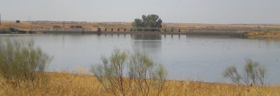 Embalse de Talaván: Información útil y fotos