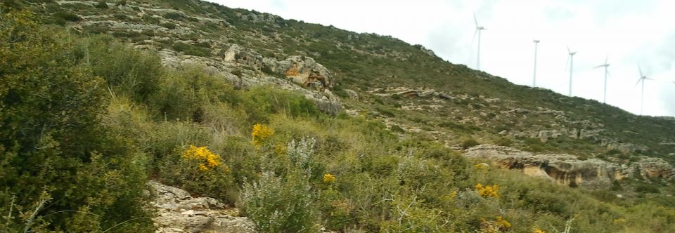 Ruta circular del Bosque: Información útil y fotos