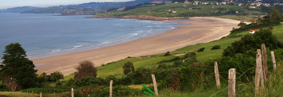 Playa Pájaro amarillo: Información útil y fotos