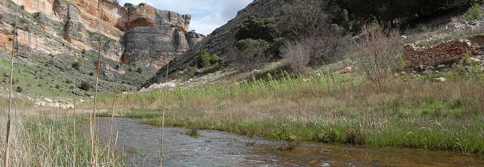 Río Salado: Información útil y fotos