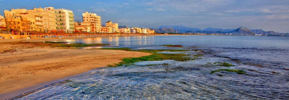 Qué ver cerca de Son Bauló