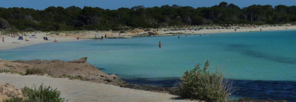 Platja d'es Dolç: Información útil y fotos