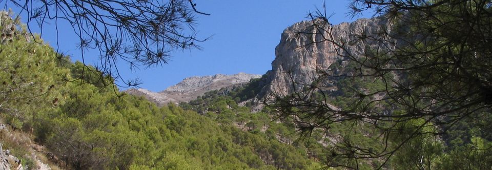 La Fájara: Información útil y fotos