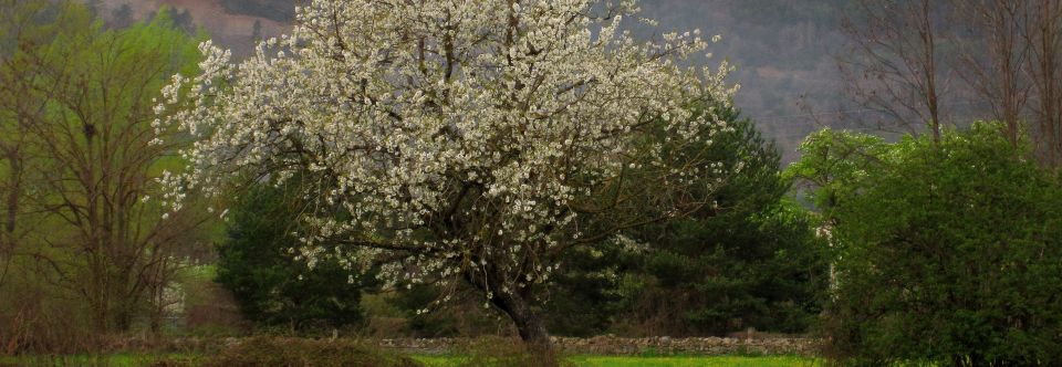 Biescas (Huesca): Qué ver y dónde dormir