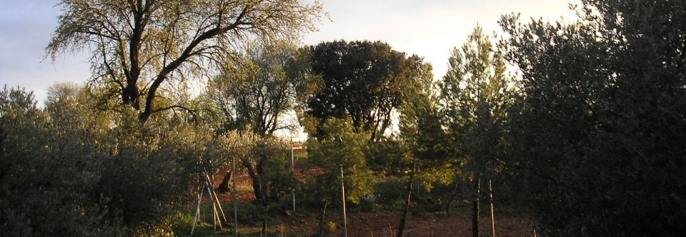 Tarancón (Cuenca): Qué ver y dónde dormir