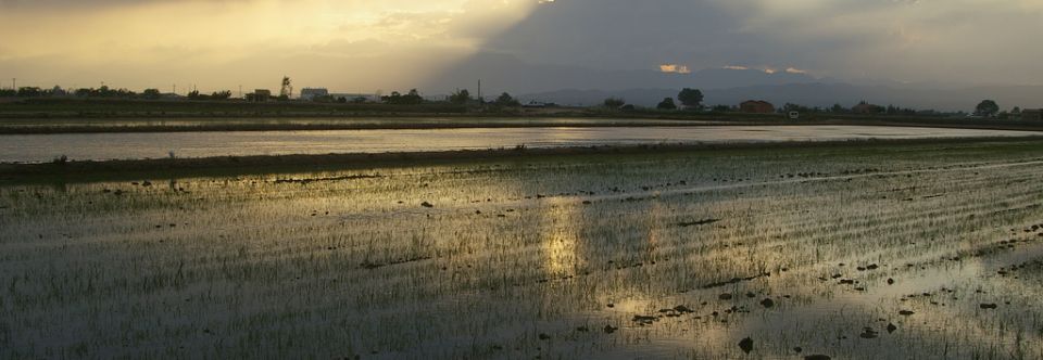 Deltebre (Tarragona): Qué ver y dónde dormir