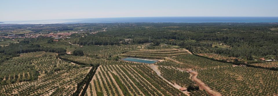 Mont-roig del Camp (Tarragona): Qué ver y dónde dormir