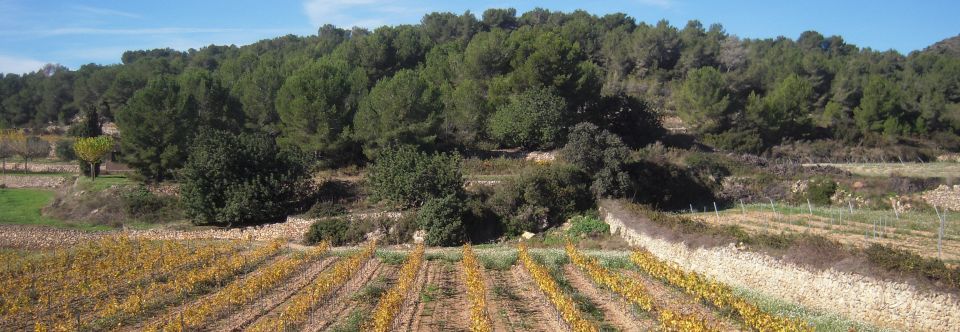 Salomó (Tarragona): Qué ver y dónde dormir