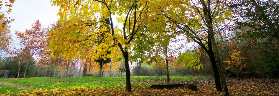 Salt (Girona): Qué ver y dónde dormir