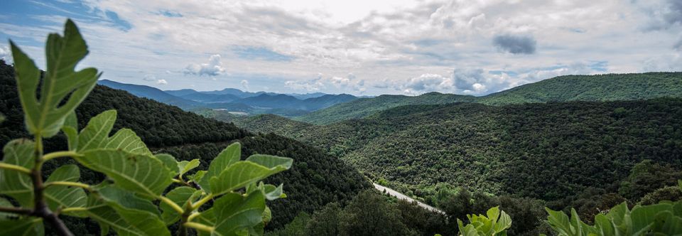 Qué ver en La Vall de Bianya