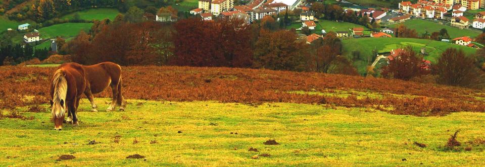 Leitza (Navarra): Qué ver y dónde dormir