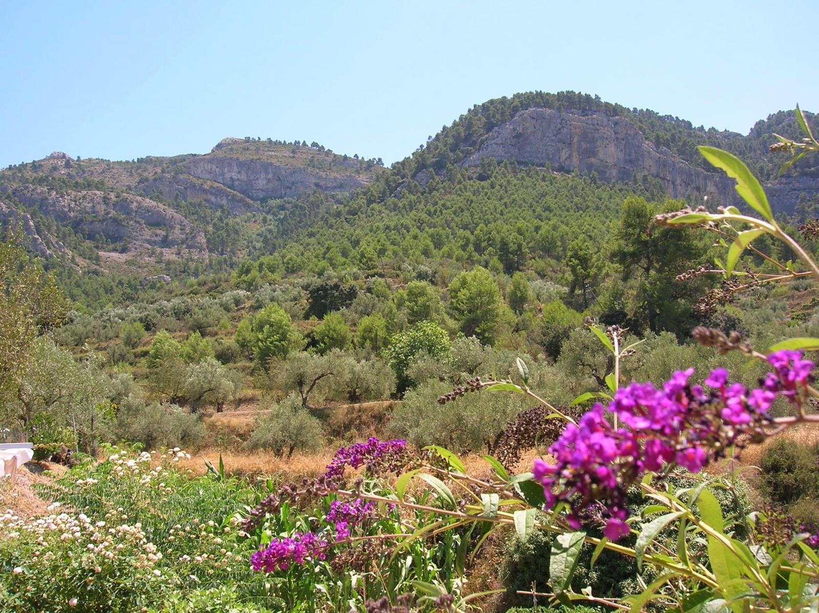 Alfafara (Alicante): Qué ver y dónde dormir