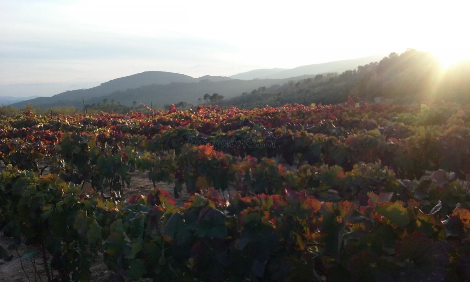 Qué ver en O Ribeiro