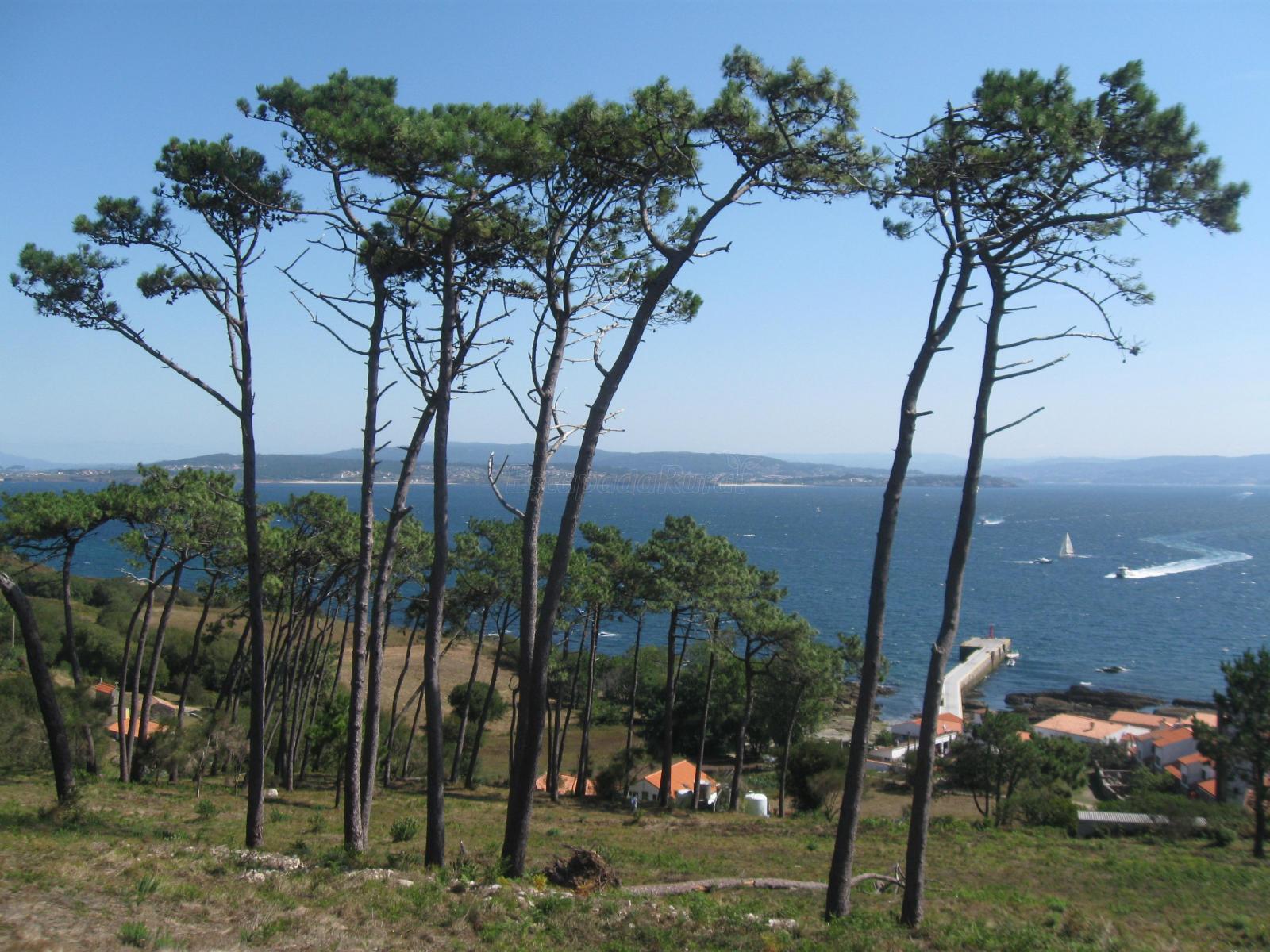 A Illa de Ons (Pontevedra): Qué ver y dónde dormir