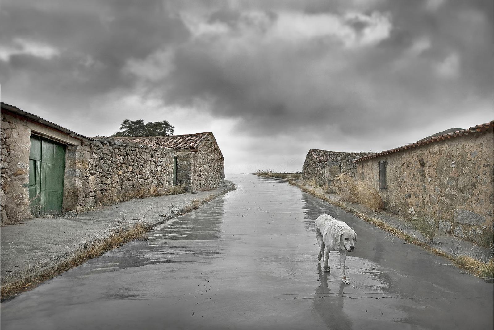 Qué ver en Bernuy Salinero