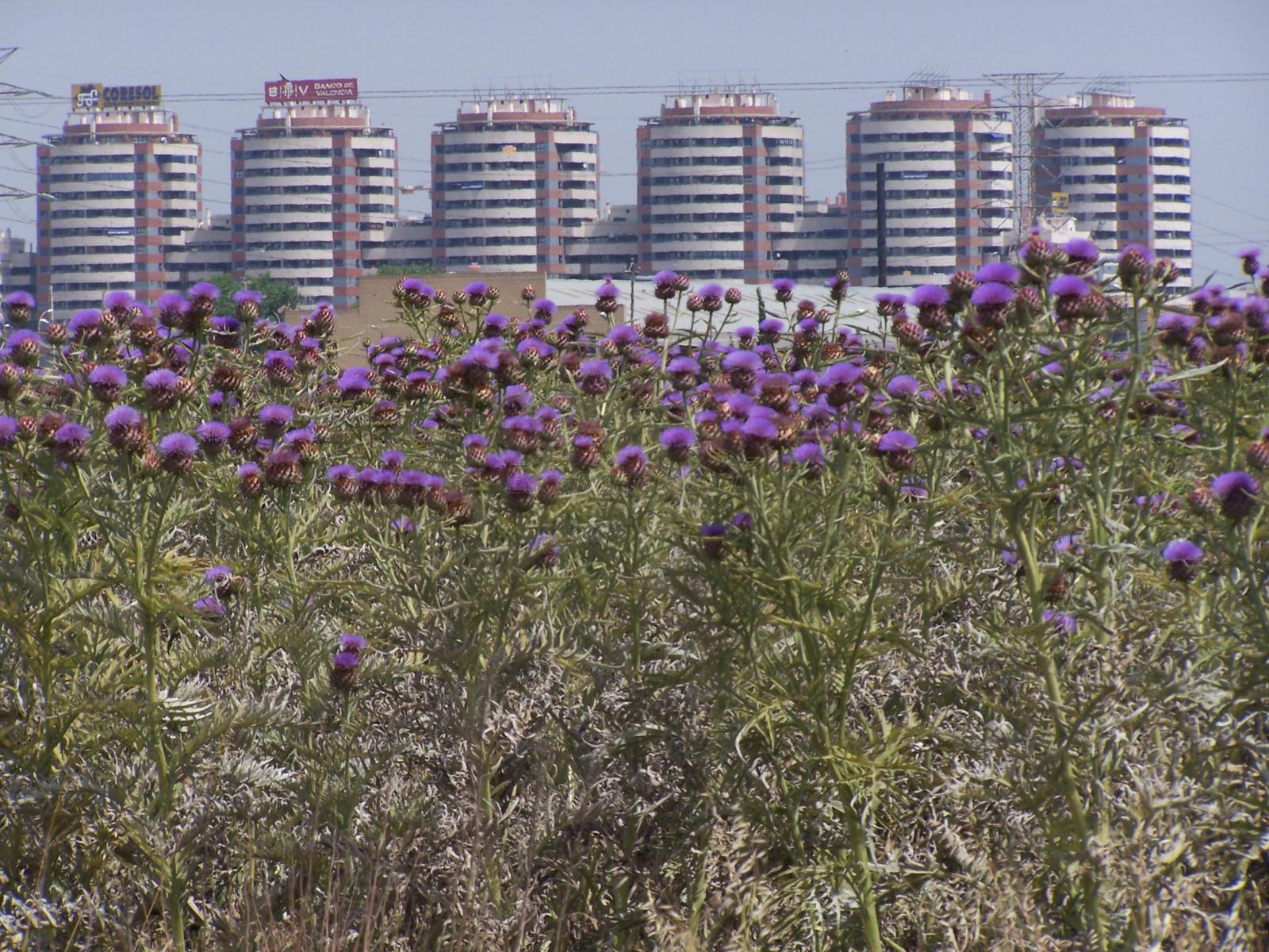 Sedaví (Valencia): Qué ver y dónde dormir