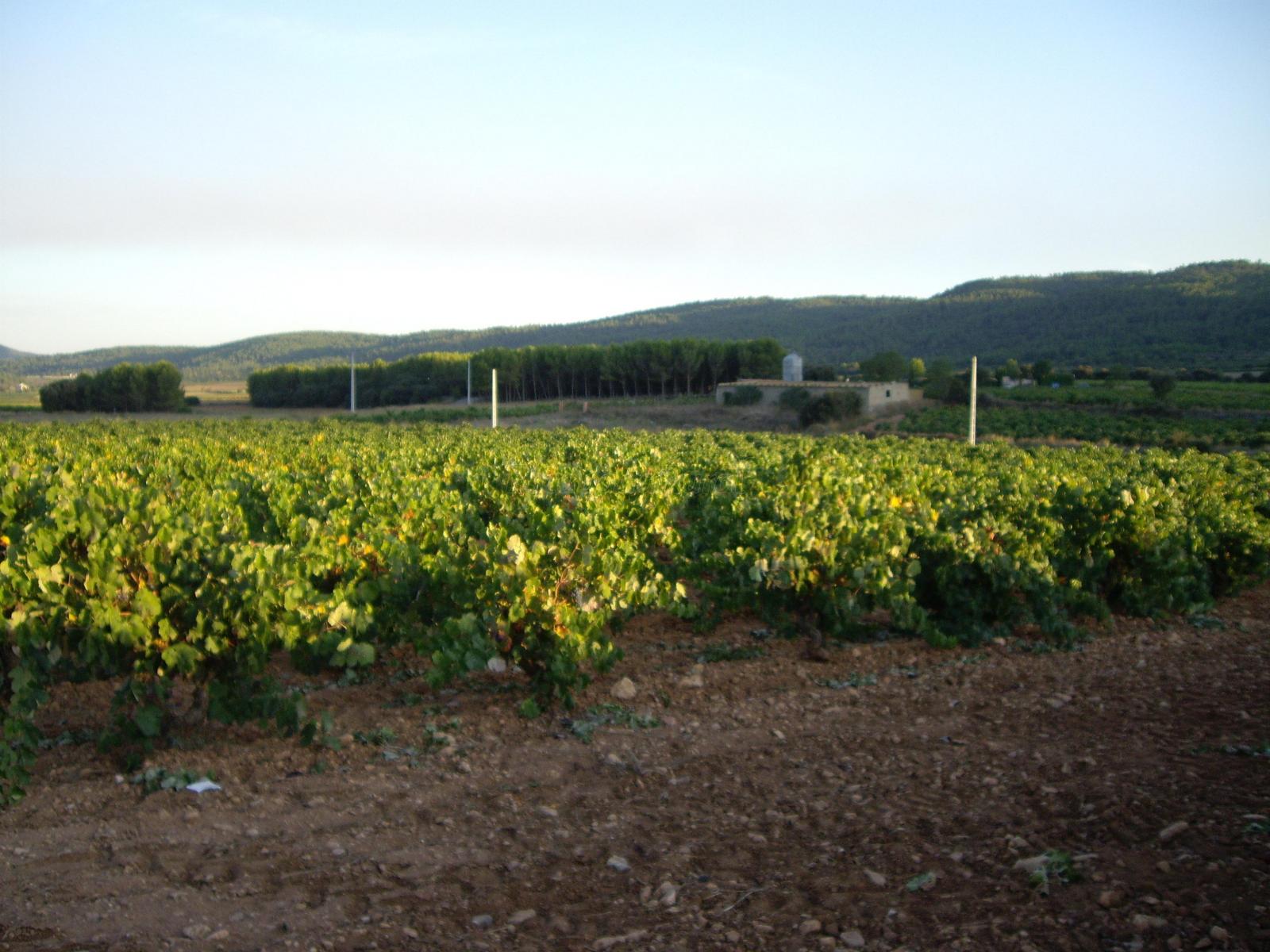 El Rebollar (Valencia): Qué ver y dónde dormir