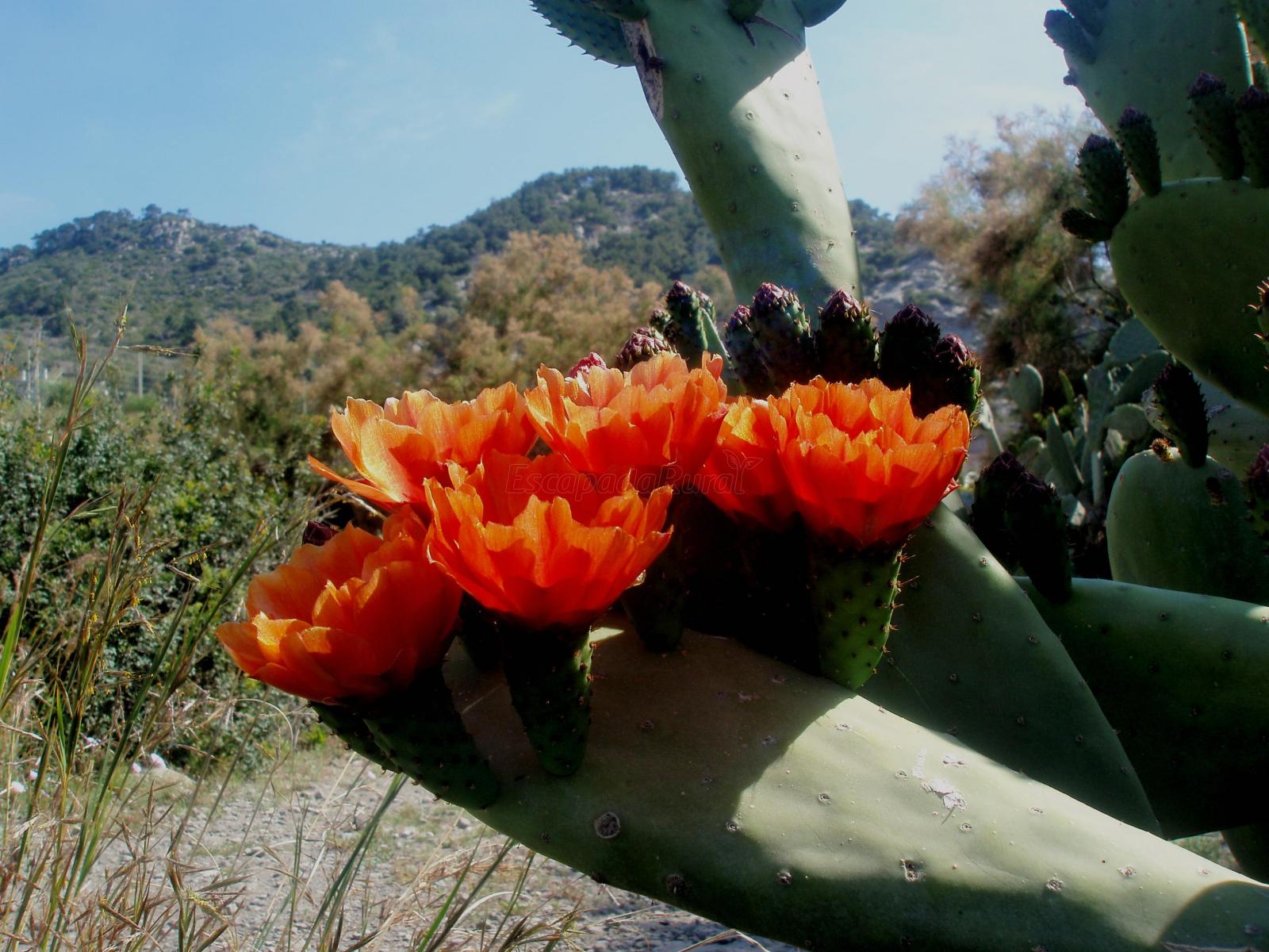 Vallcarca (Barcelona): Qué ver y dónde dormir