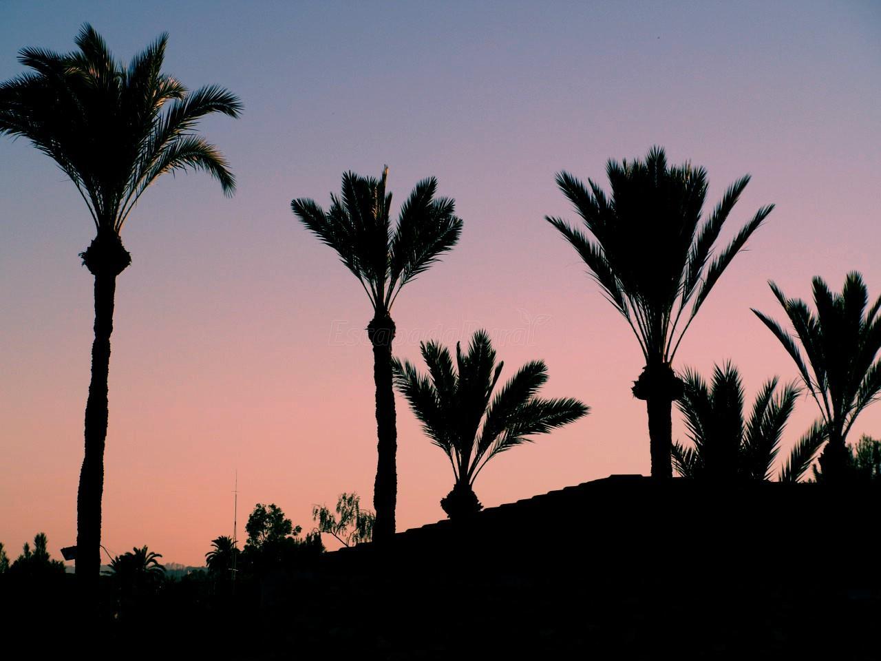 La Marina (Alicante): Qué ver y dónde dormir