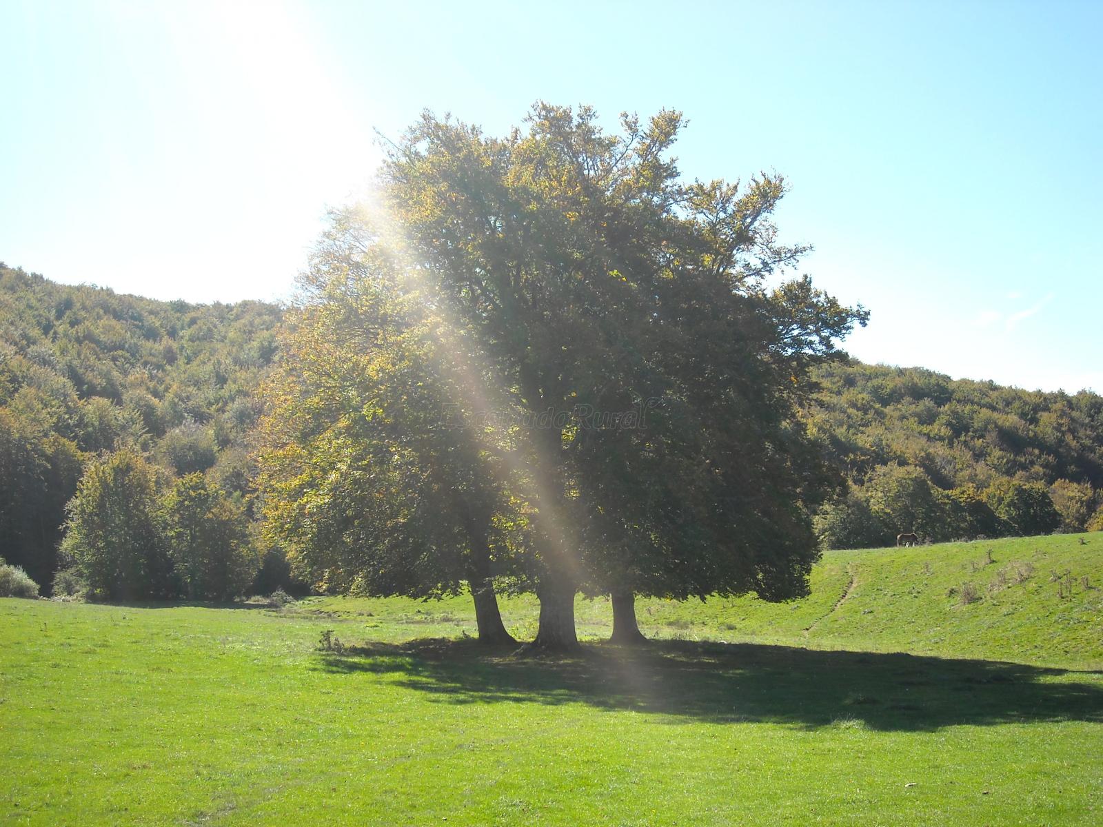 Auritz/Burguete (Navarra): Qué ver y dónde dormir