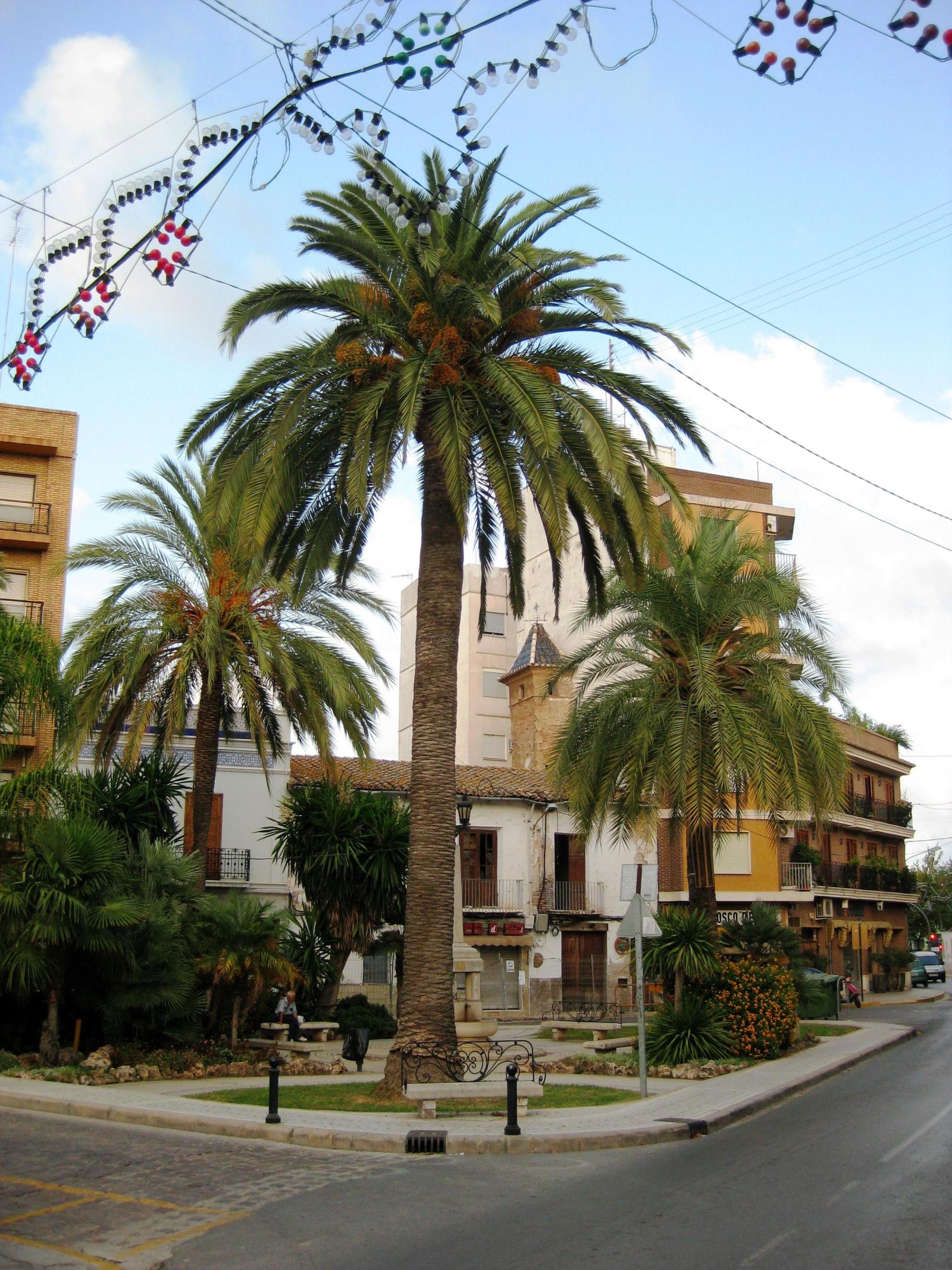 Meliana (Valencia): Qué ver y dónde dormir