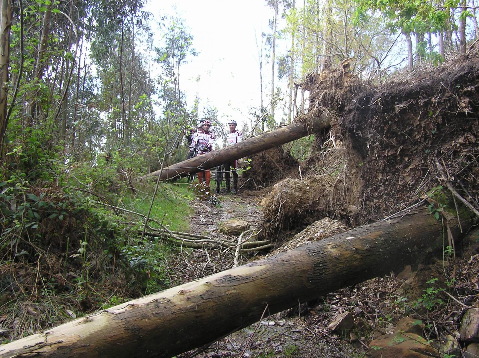 Rasines (Cantabria): Qué ver y dónde dormir