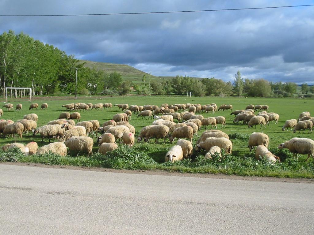 Cabia (Burgos): Qué ver y dónde dormir
