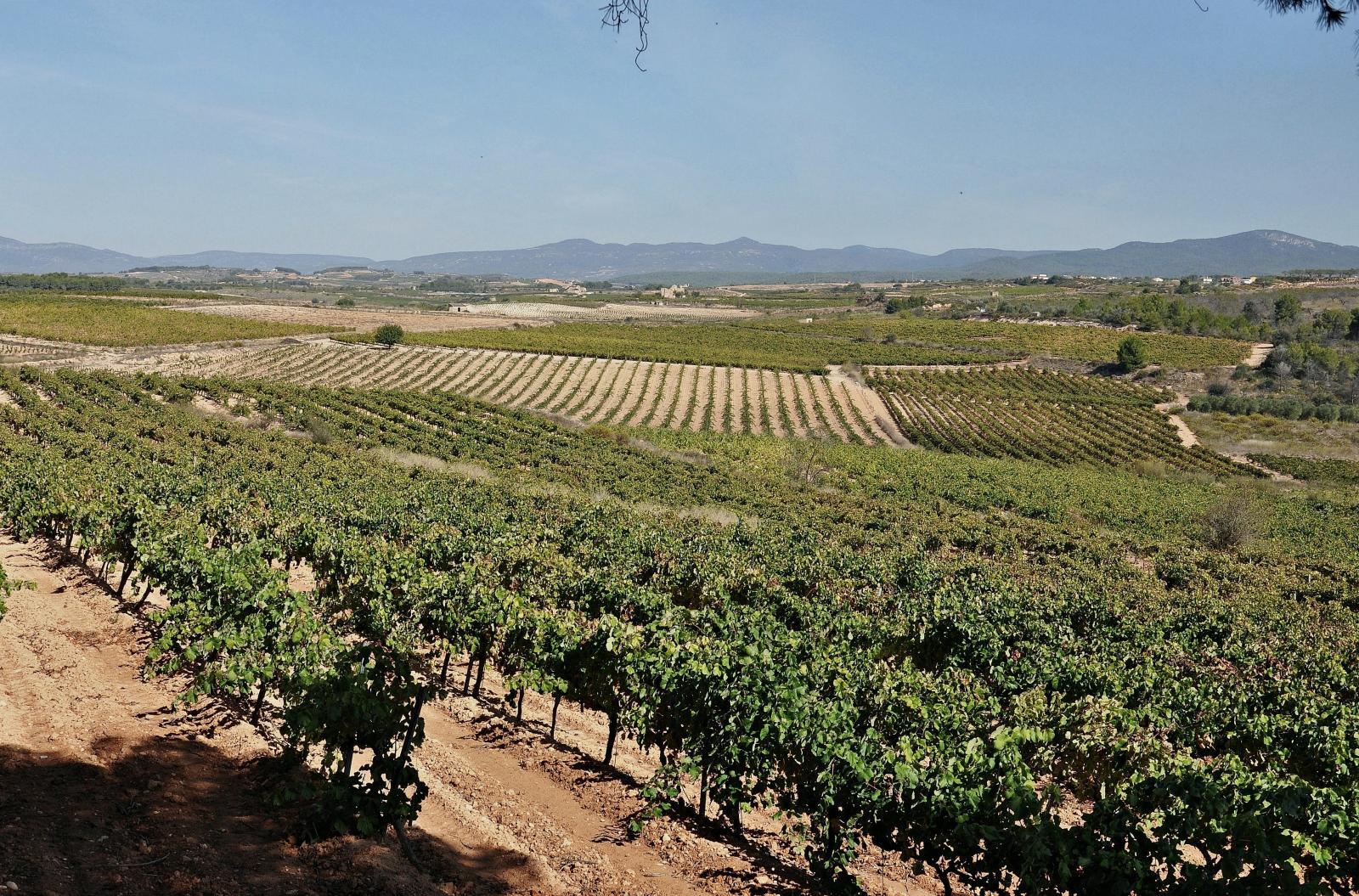 Montferri (Tarragona): Qué ver y dónde dormir