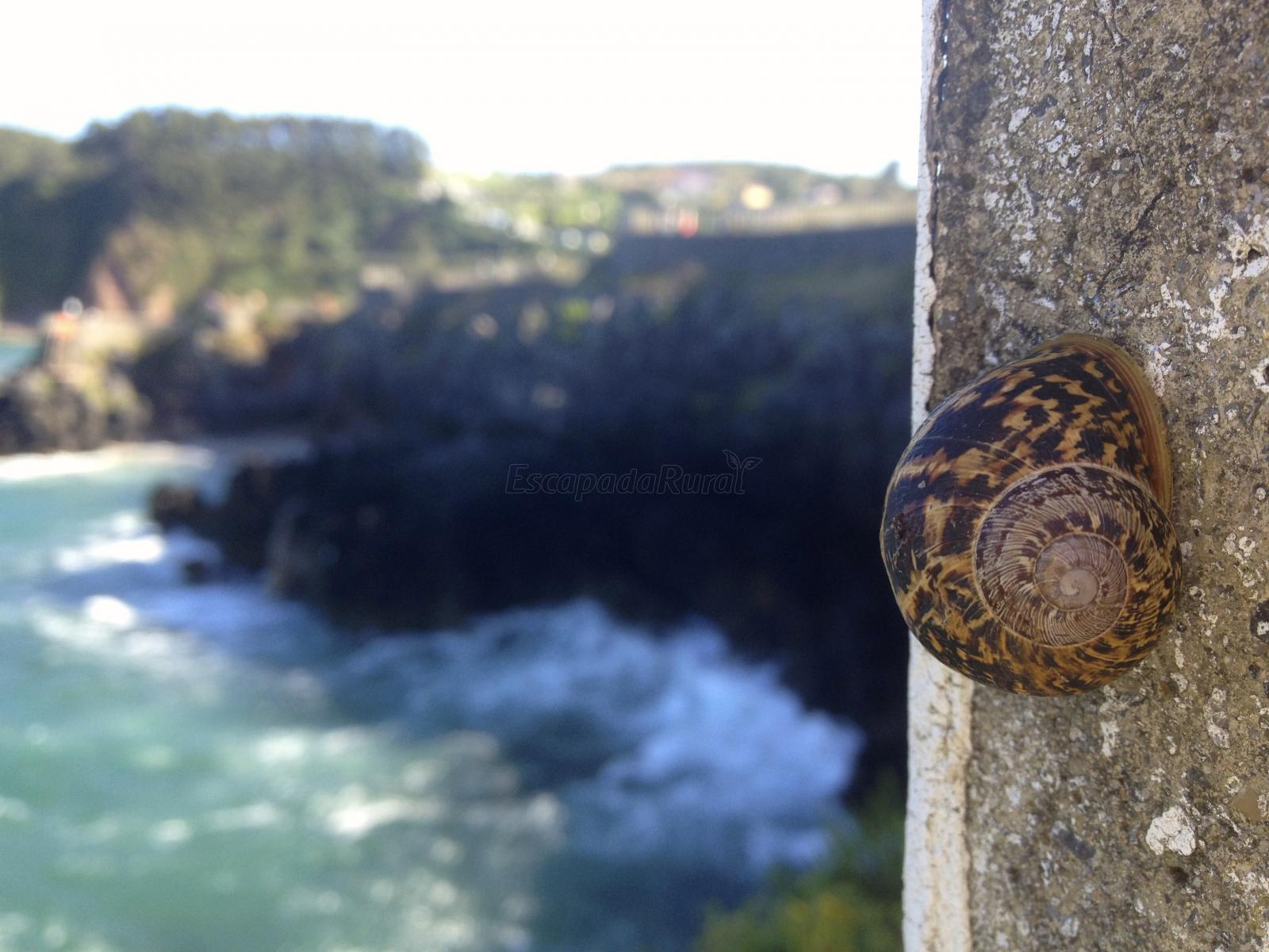 Perlora (Asturias): Qué ver y dónde dormir