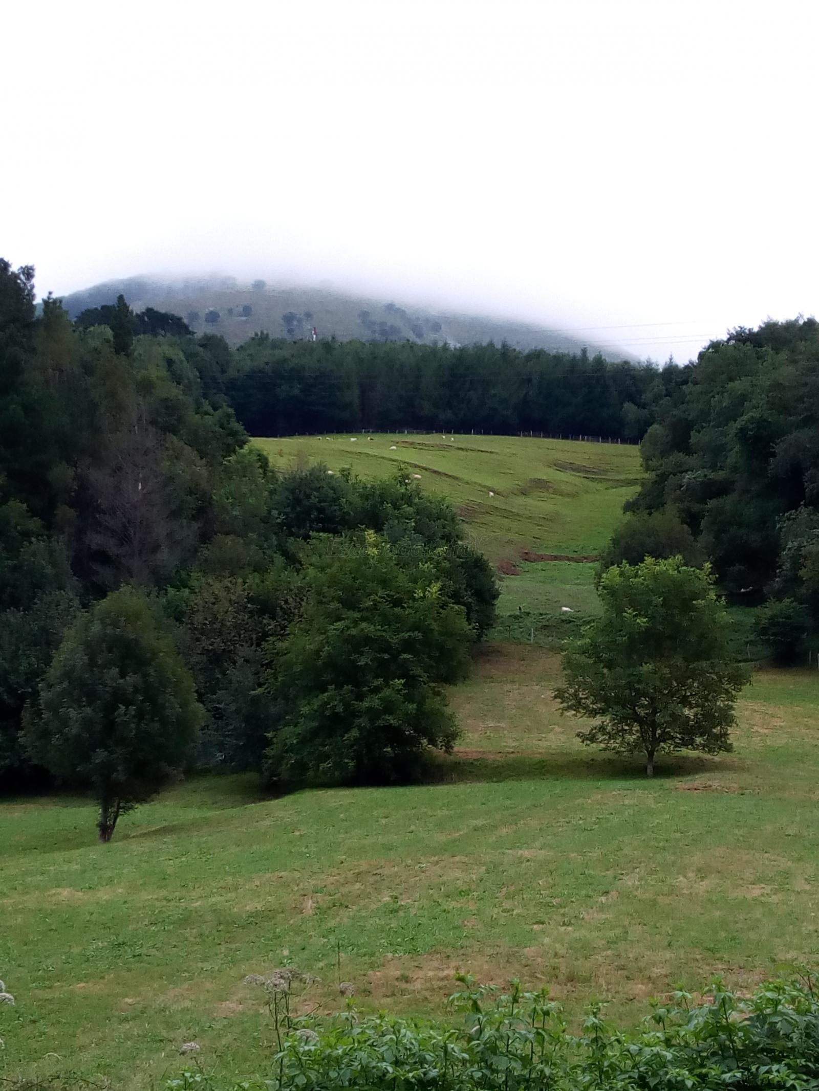 Betelu (Navarra): Qué ver y dónde dormir