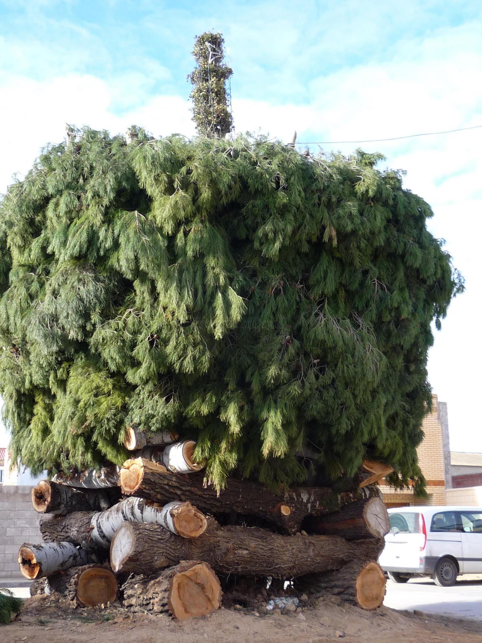 Alforque (Zaragoza): Qué ver y dónde dormir