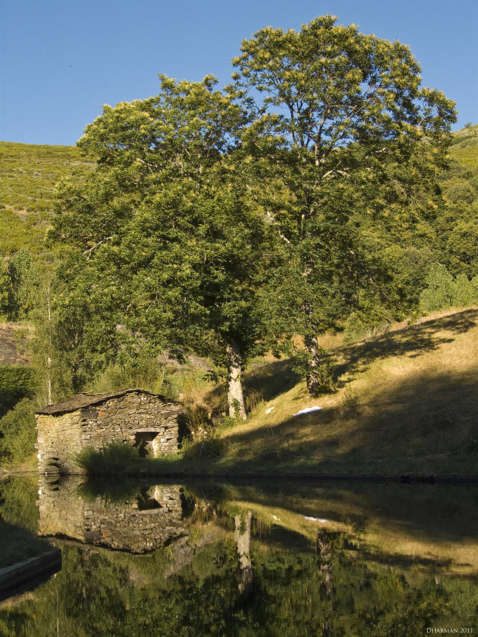 Qué ver en Camba San Salvador