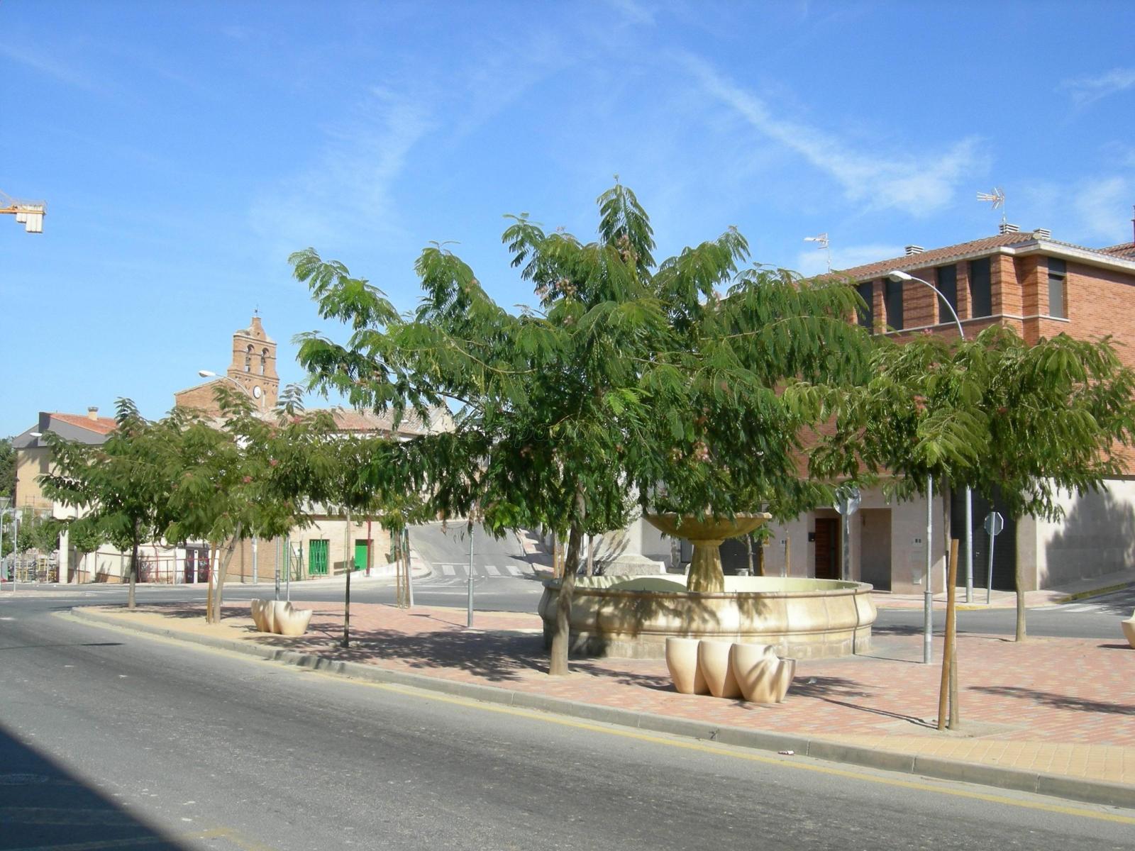 Ribaforada (Navarra): Qué ver y dónde dormir