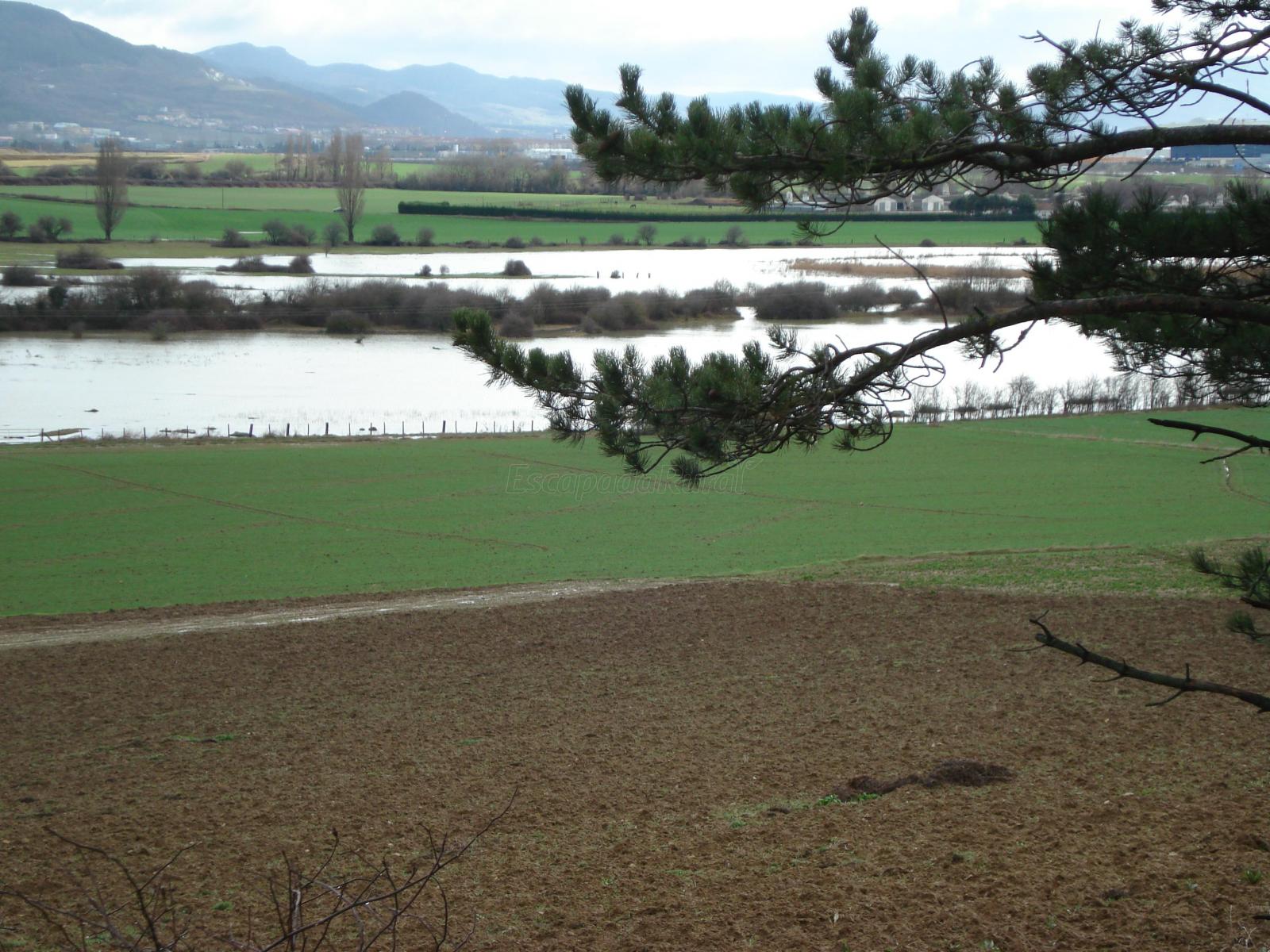 Qué ver en Iza