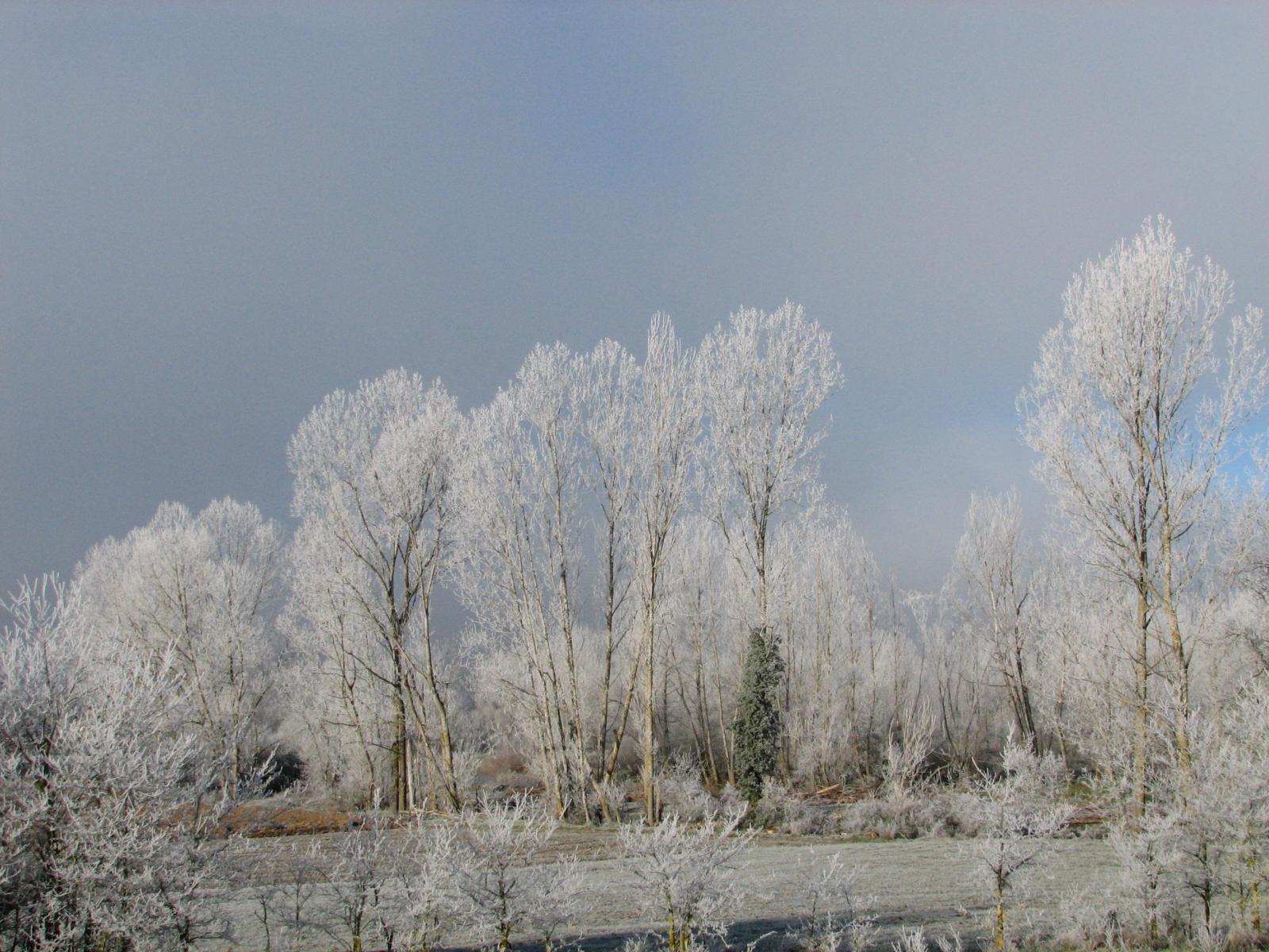 Villaeles de Valdavia (Palencia): Qué ver y dónde dormir