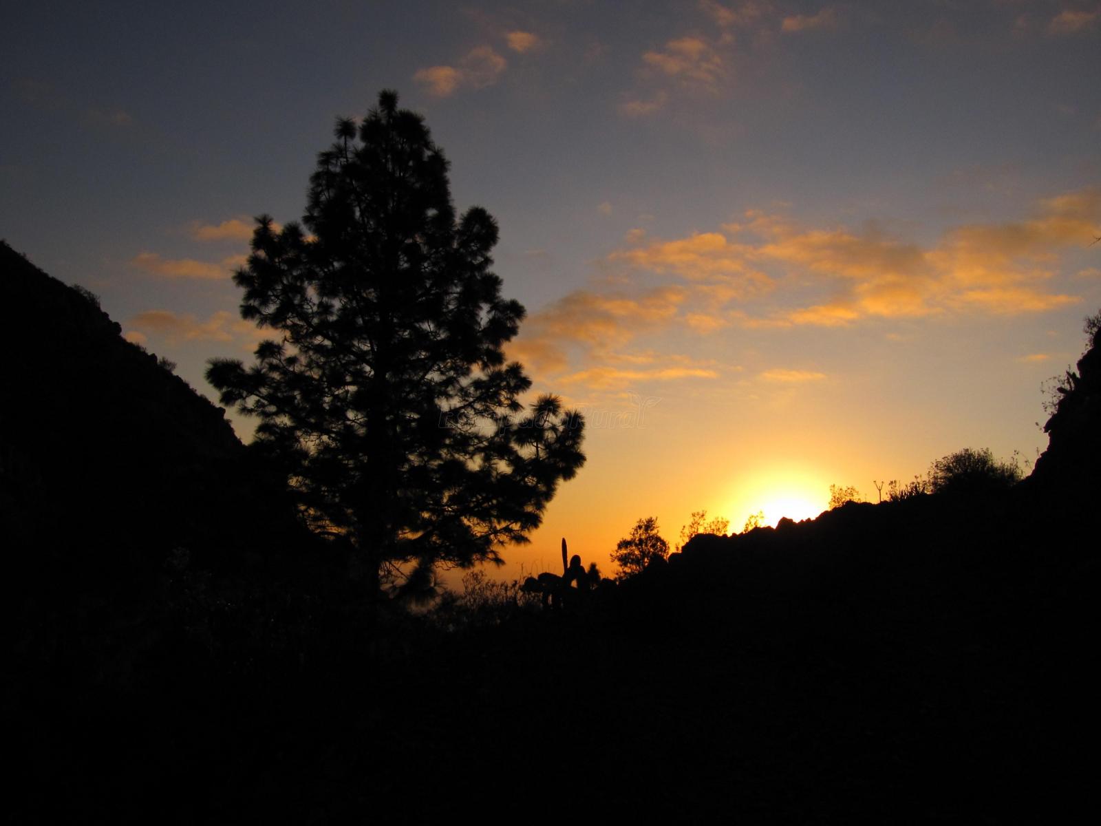 El Jaral (Santa Cruz de Tenerife): Qué ver y dónde dormir