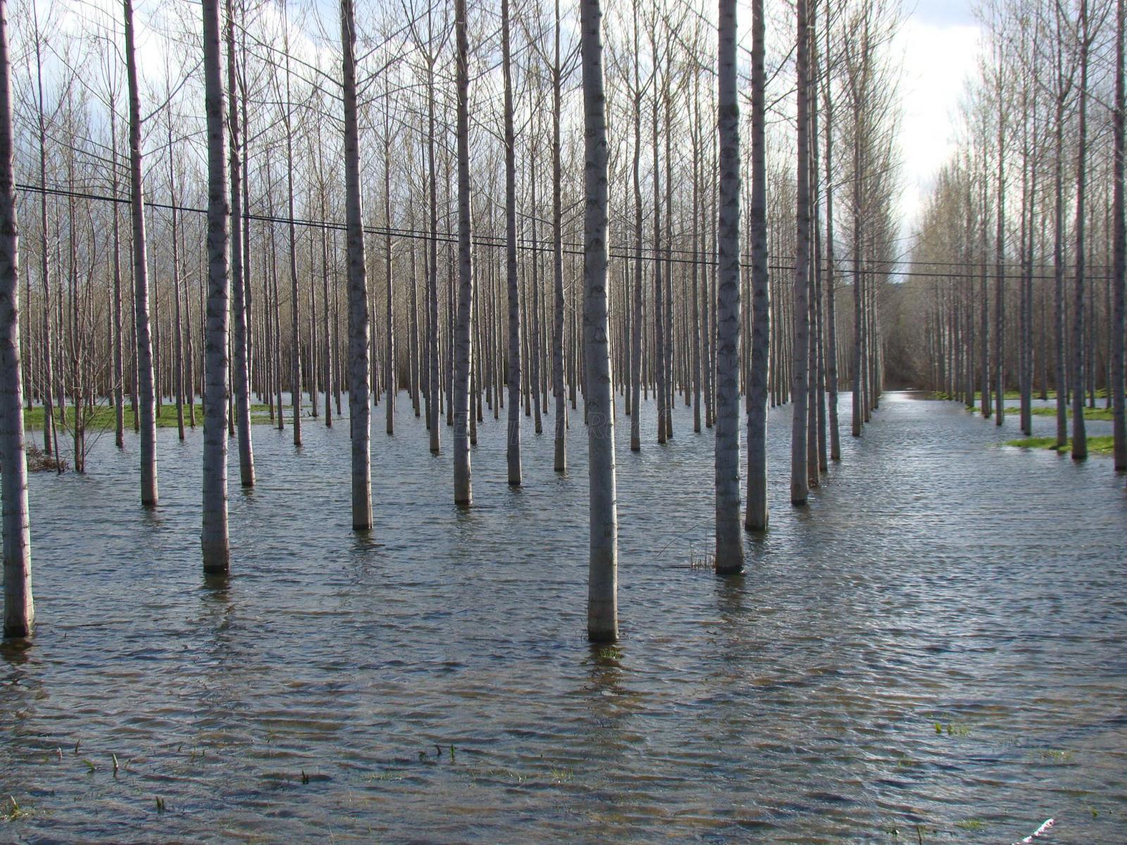 La Nora (León): Qué ver y dónde dormir