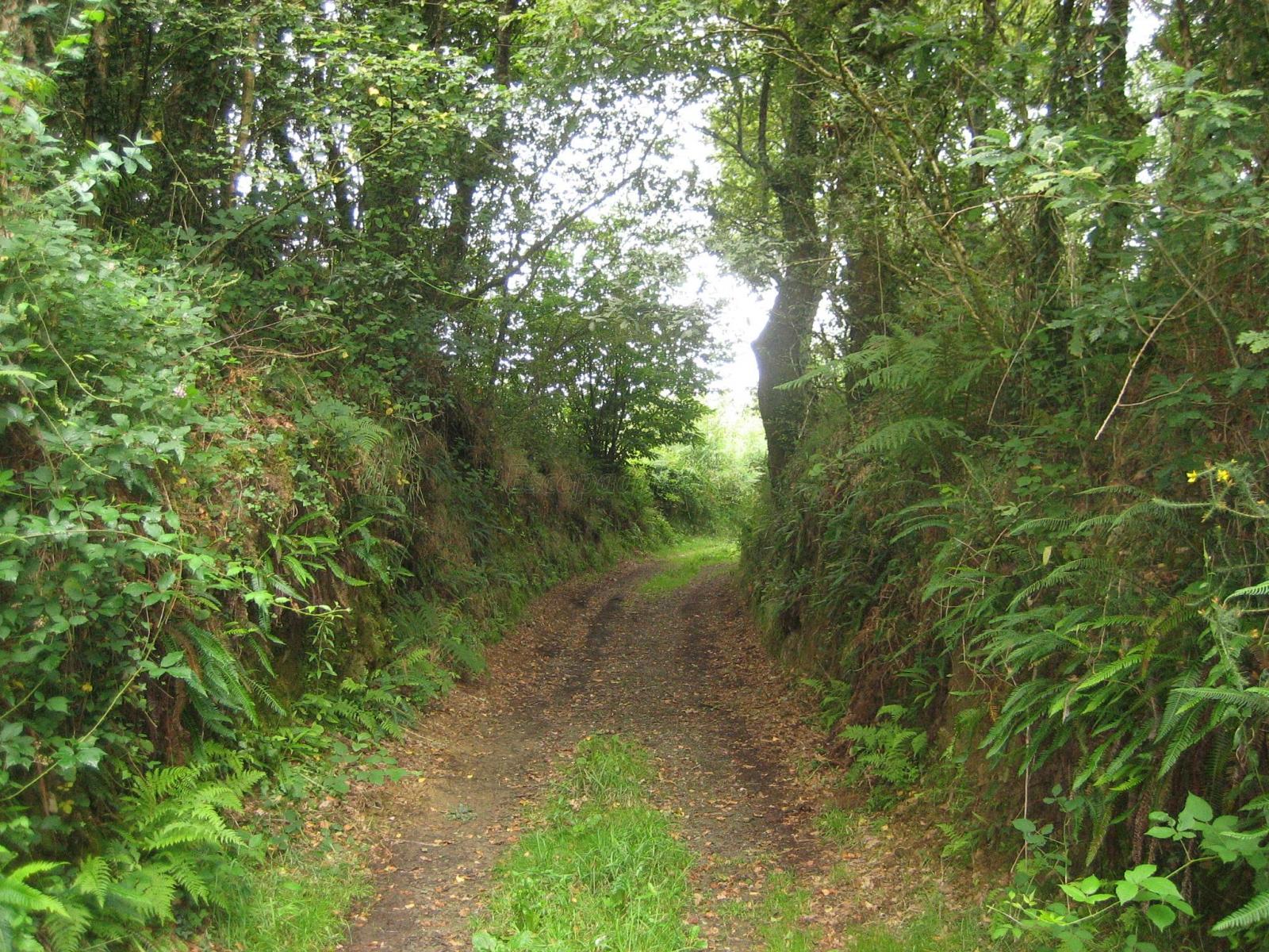 Poulo (A Coruña): Qué ver y dónde dormir
