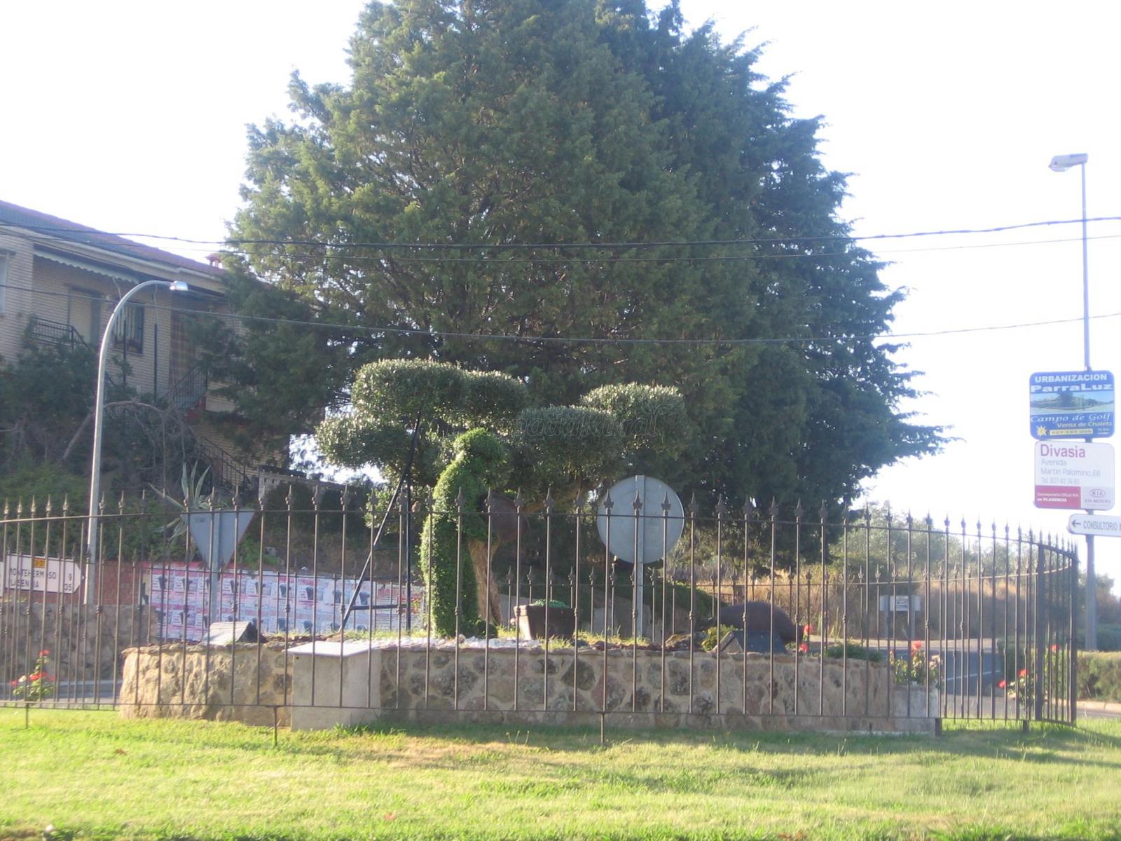 Qué ver en Pozuelo de Zarzón