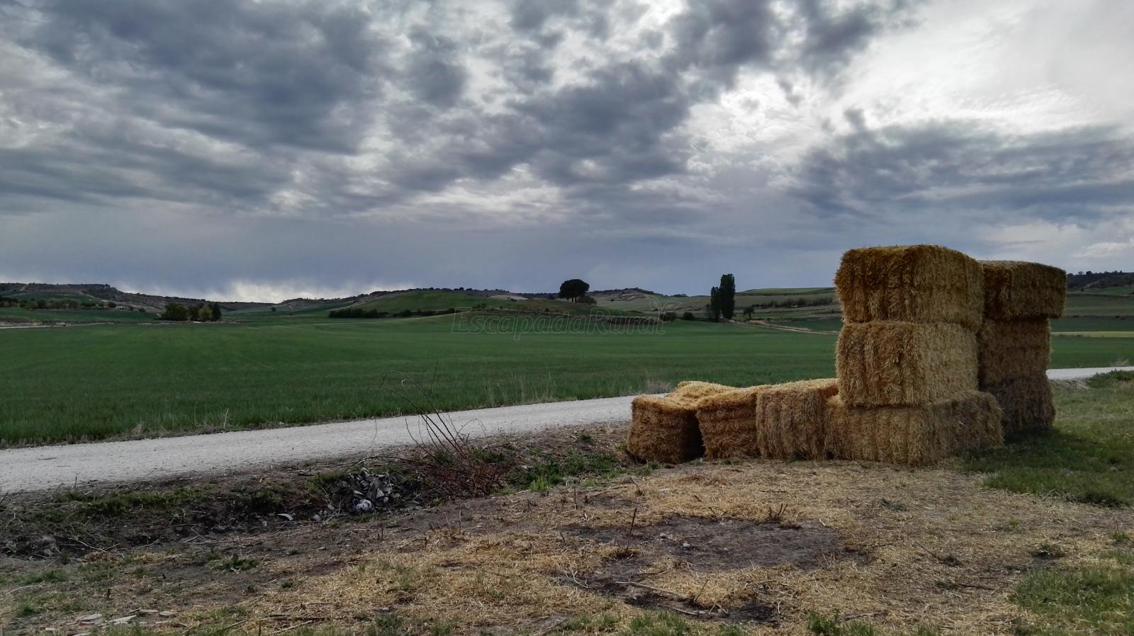 El Cerrato Palentino (Palencia): Qué ver y dónde dormir