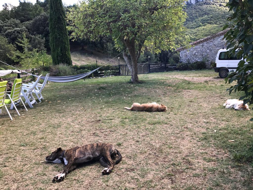 Opiniones sobre Can Coll de Pincaró (Girona)